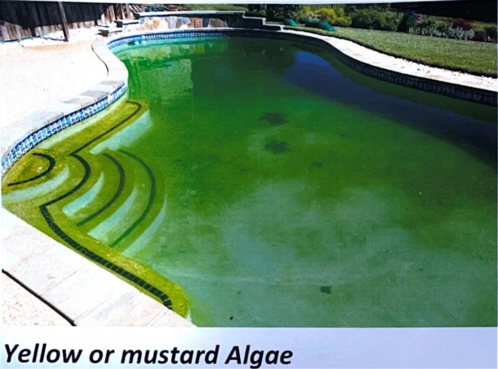 Five Industrial Chemicals that are Commonly Used for Processing